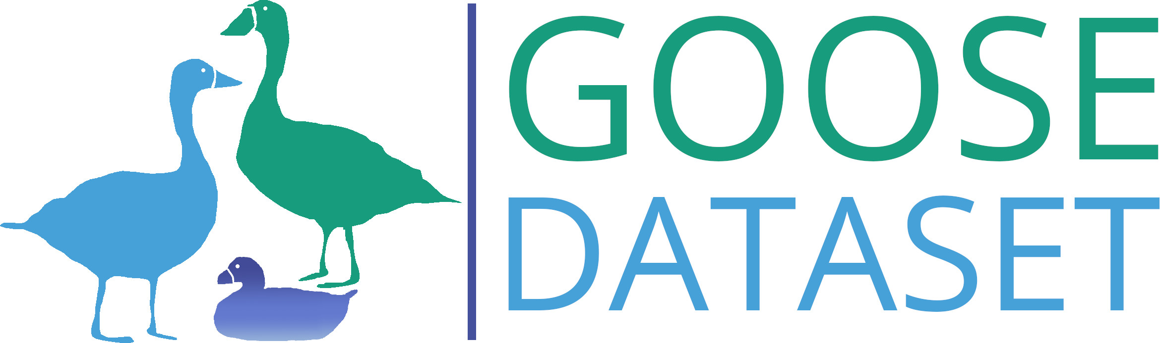 Goose Dataset
